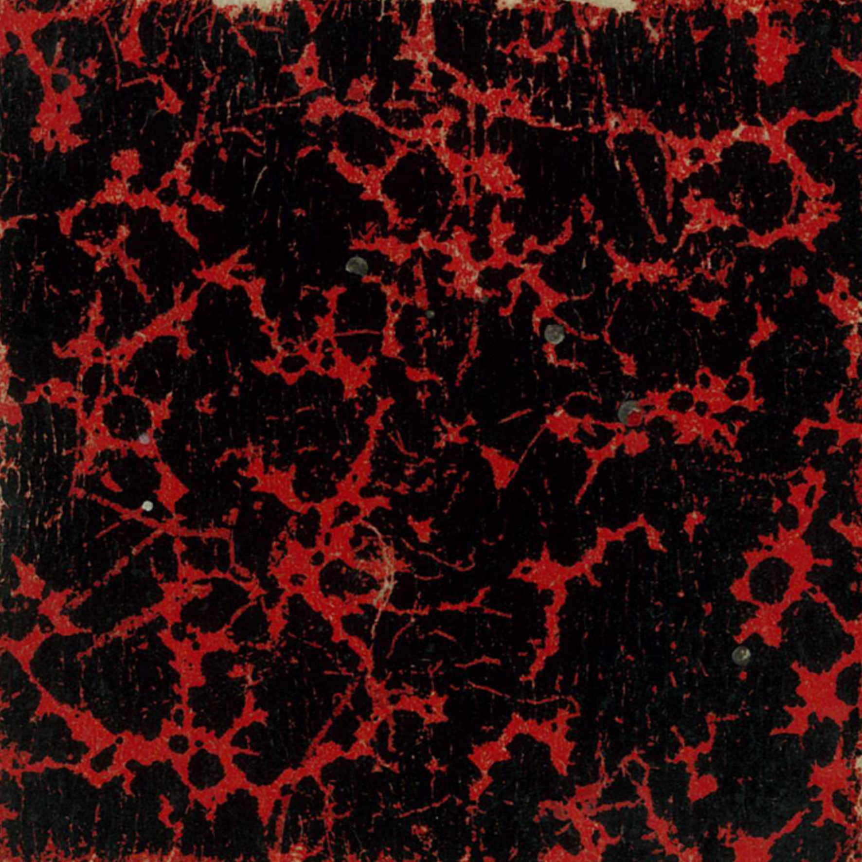 Day Fly "Magnet" - BOILER ROOM